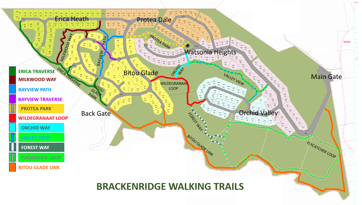 Brackenridge Walking Trails – the greenridge